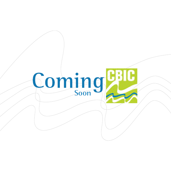 East Brisbane - CBIC